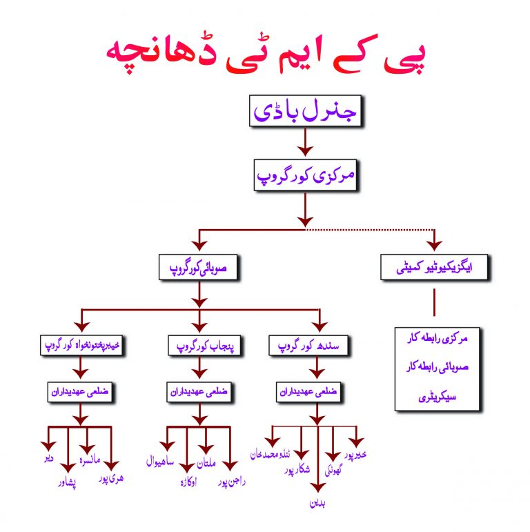 PKMT Structure | Pakistan Kissan Mazdoor Tehreek